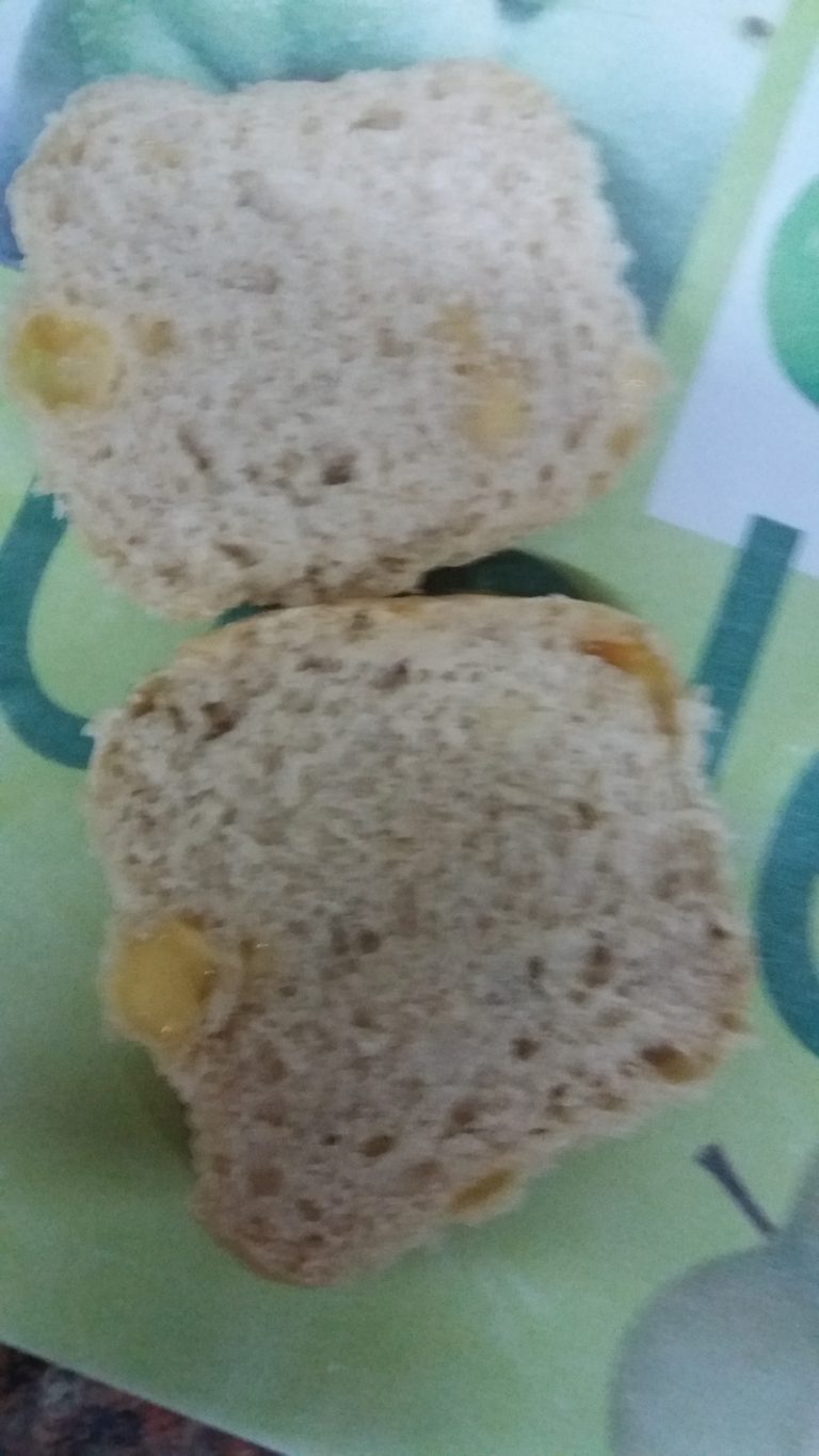 PAN TORTUGA. – 5Décadas